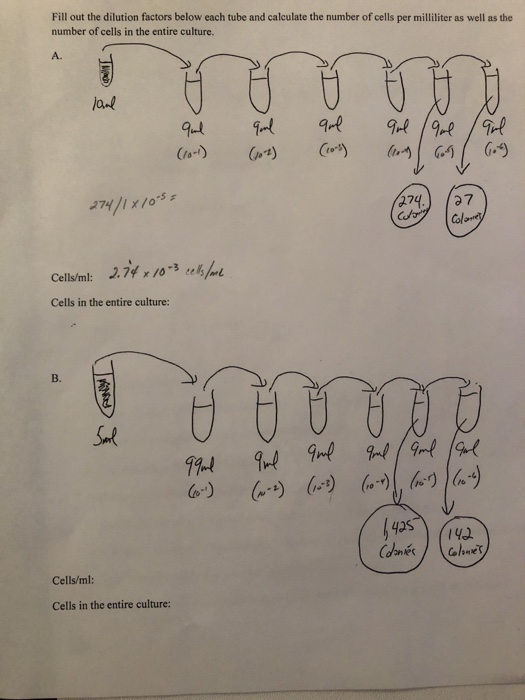 Solved Fill out the dilution factors below each tube and | Chegg.com