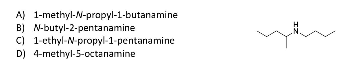 Solved H N A) 1-methyl-N-propyl-1-butanamine B) | Chegg.com