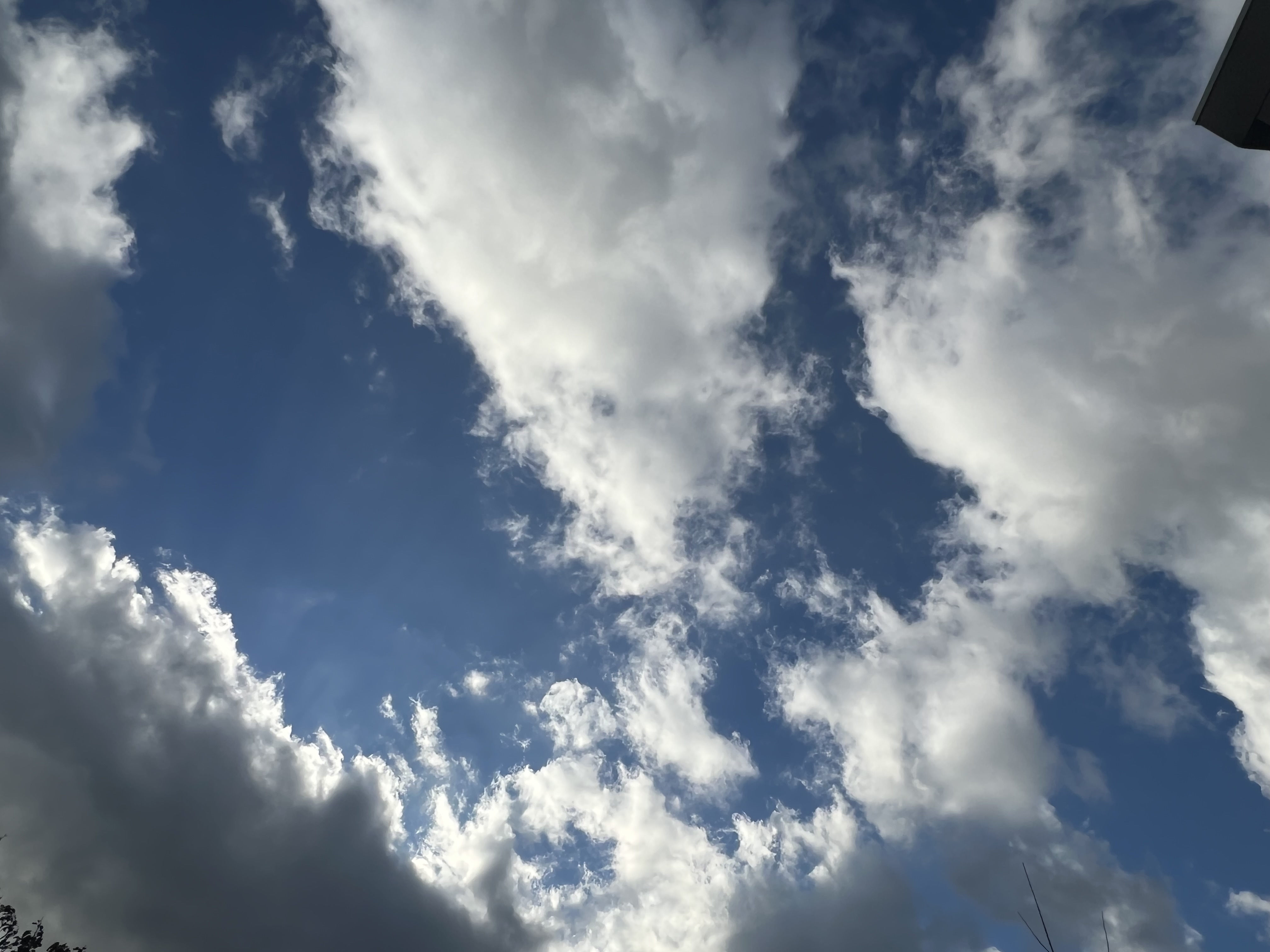 Solved How many different cloud types do you see in these | Chegg.com