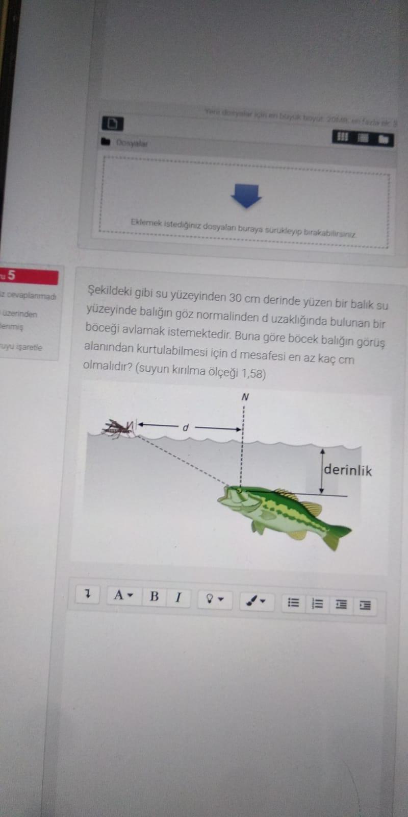 Solved A fish swimming 30 cm deep from the water surface as | Chegg.com