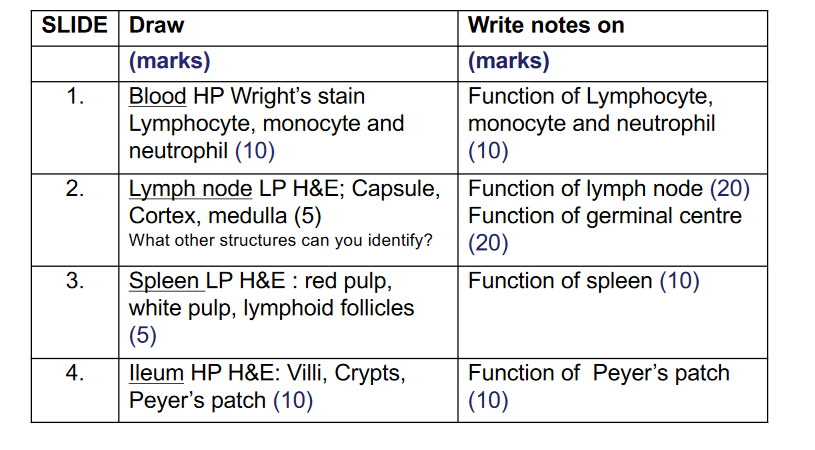 Solved SLIDE Draw Write notes on (marks) (marks) 1. Blood HP | Chegg.com