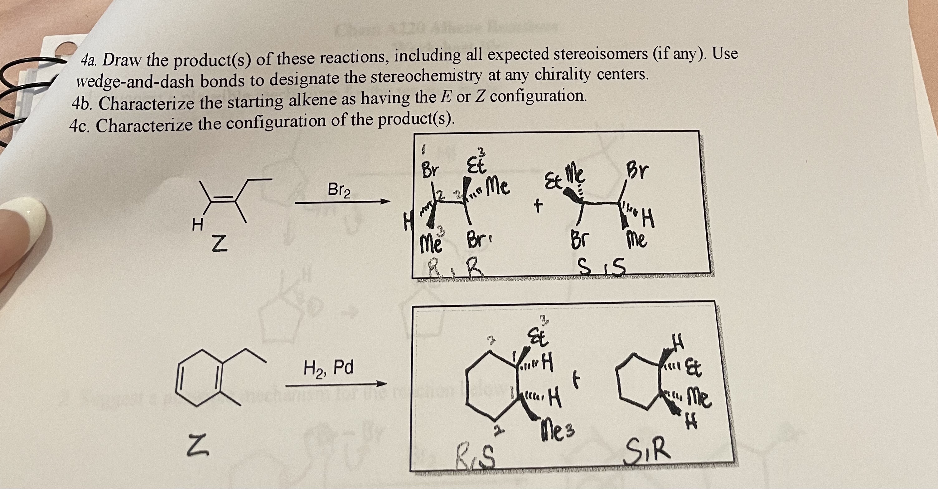 Solved Can you please explain this problem, step by step? | Chegg.com