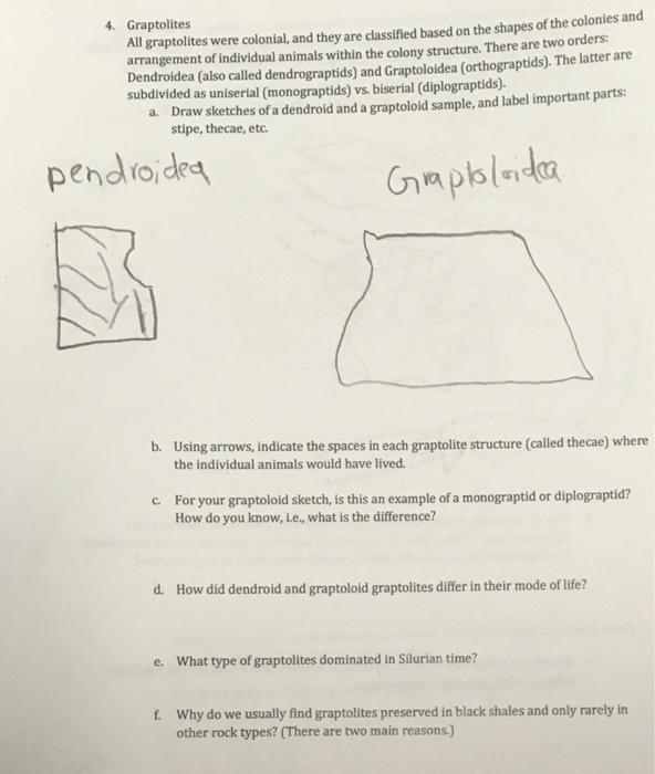 Solved 4. Graptolites All graptolites were colonial, and | Chegg.com