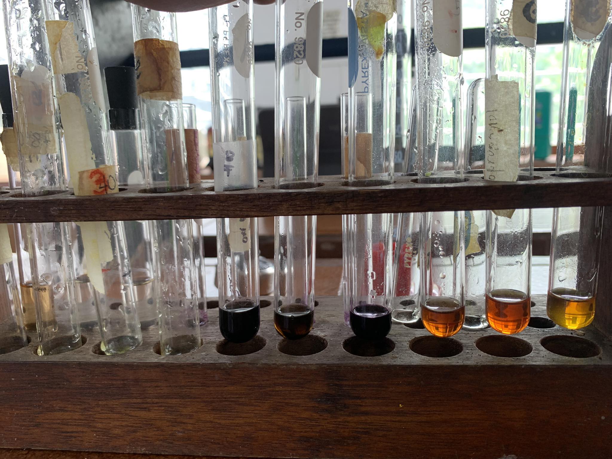 Solved Experiment name (Alcohols and Phenols) Can you help | Chegg.com