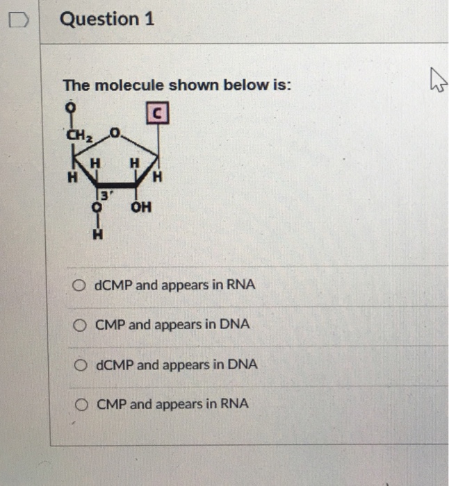 Solved The molecule shown below is: dCMP and appears in RNA | Chegg.com