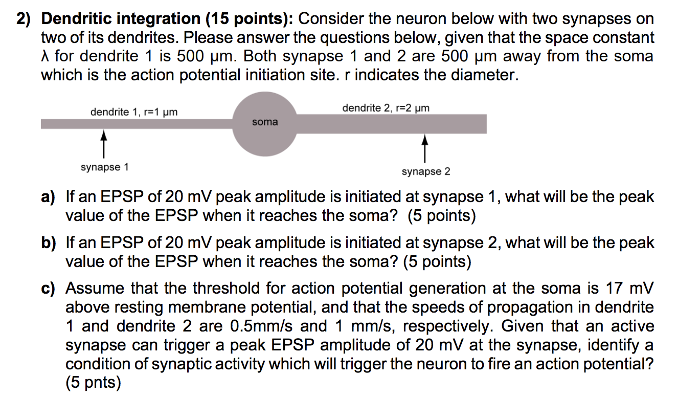 Solved 2) Dendritic integration (15 points): Consider the | Chegg.com