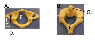 Solved 1-2. Use the image below to answer the following | Chegg.com