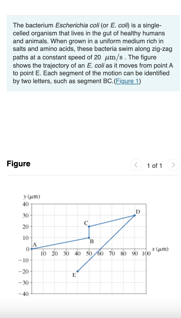 Solved The bacterium Escherichia coli (or E. coll) is a | Chegg.com