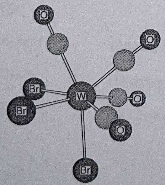I know that the structure is actually capped trigonal | Chegg.com