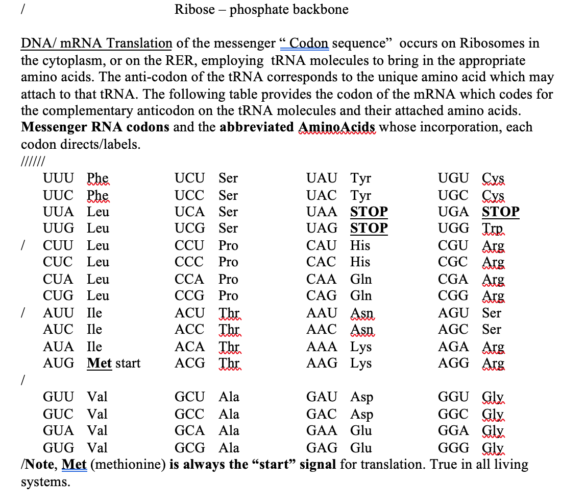 Solved Ribose – phosphate backbone DNA/ mRNA Translation of | Chegg.com