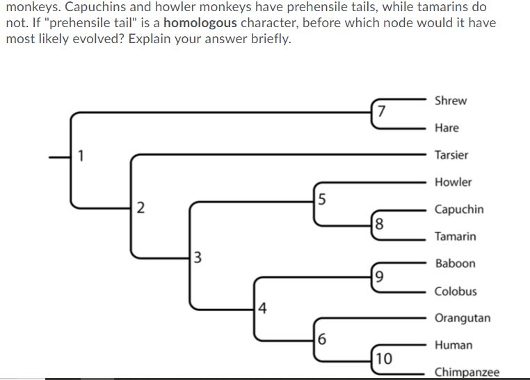Solved monkeys. Capuchins and howler monkeys have prehensile | Chegg.com