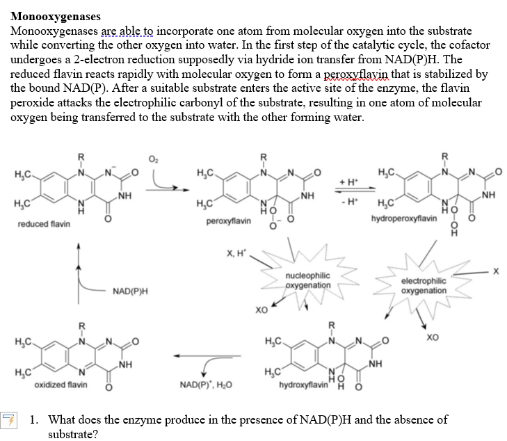 Solved Monooxygenases Monooxygenases are able to incorporate | Chegg.com
