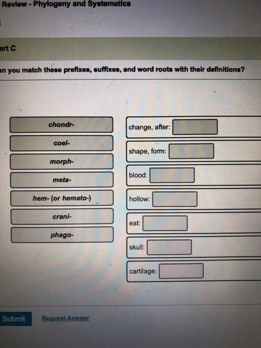 Solved you match these prefixes, suffixes, and word roots | Chegg.com