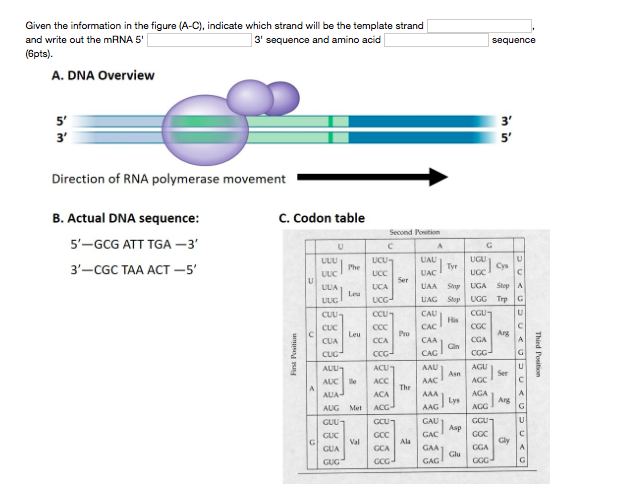 Solved Given the information in the figure (A-C), indicate | Chegg.com