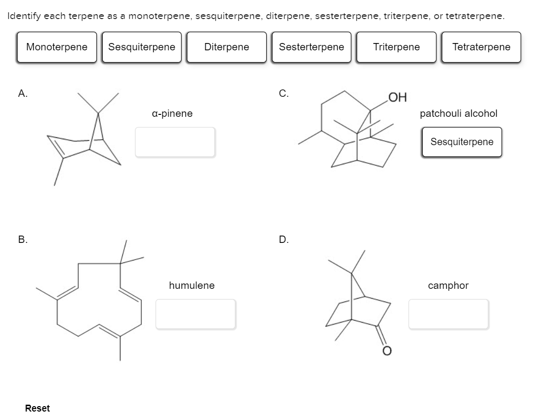 Solved Identify each terpene as a monoterpene, | Chegg.com