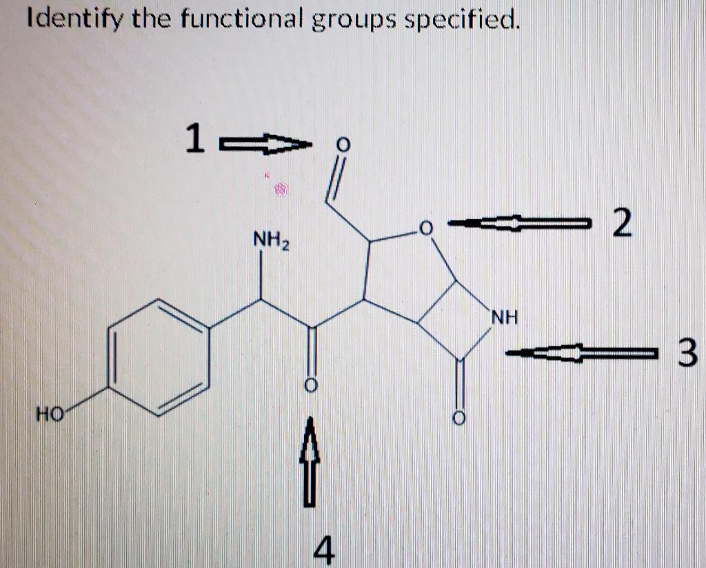 Solved Identify the functional groups specified. 1 · 2 NH2 | Chegg.com