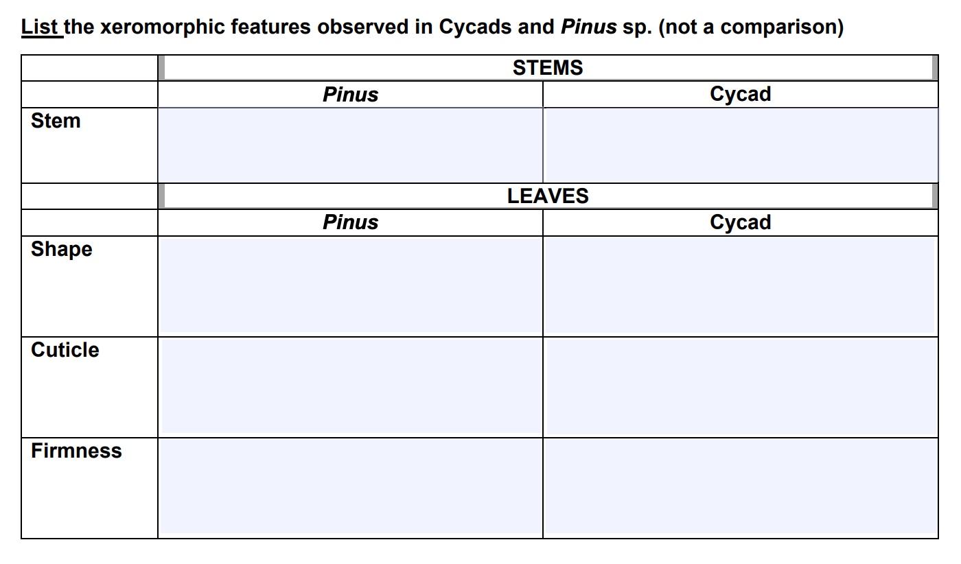 Solved List the xeromorphic features observed in Cycads and | Chegg.com