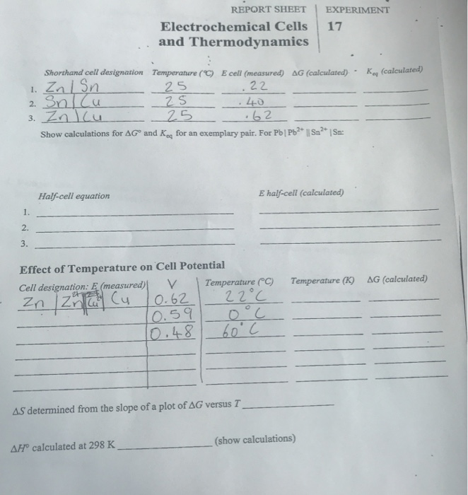 Solved REPORT SHEET EXPERIMENT Electrochemical Cells 17 and | Chegg.com