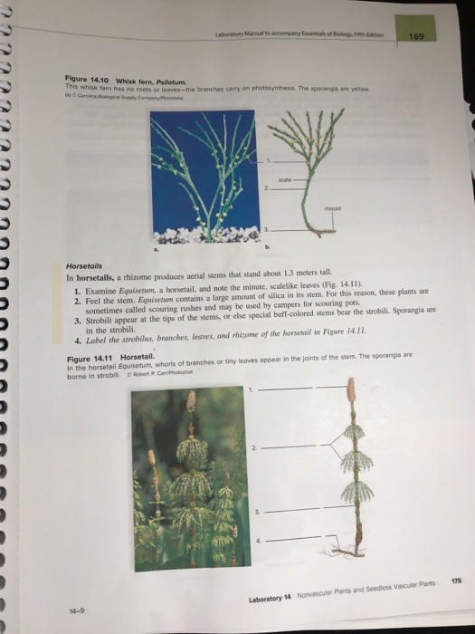 Solved Contemporary Biological Problems Lab 14.1 The | Chegg.com