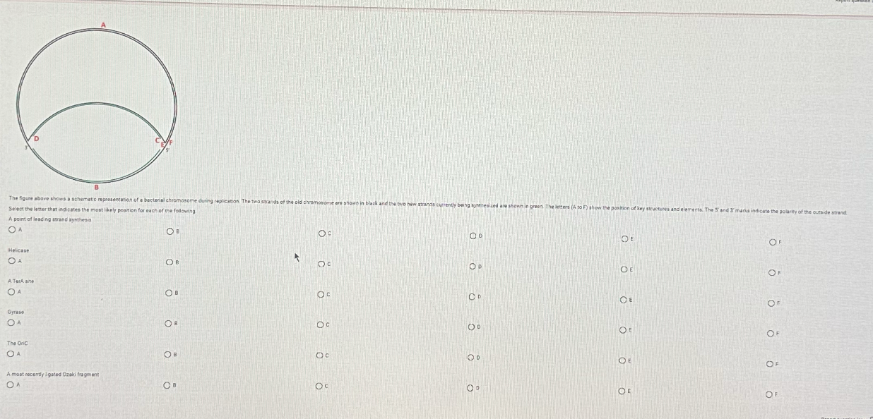 Solved Please answer these questions | Chegg.com Solved Please answer these questions | Chegg.com