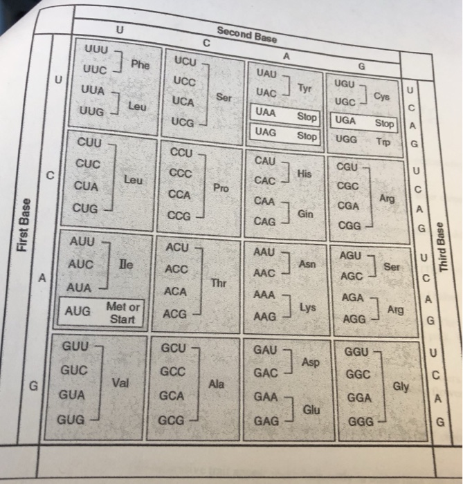 Solved 1. The following nucleotide sequence is found on the | Chegg.com
