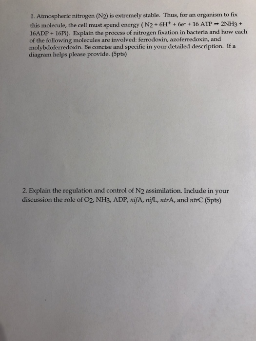 Solved 1. Atmospheric nitrogen (N2) is extremely stable. | Chegg.com