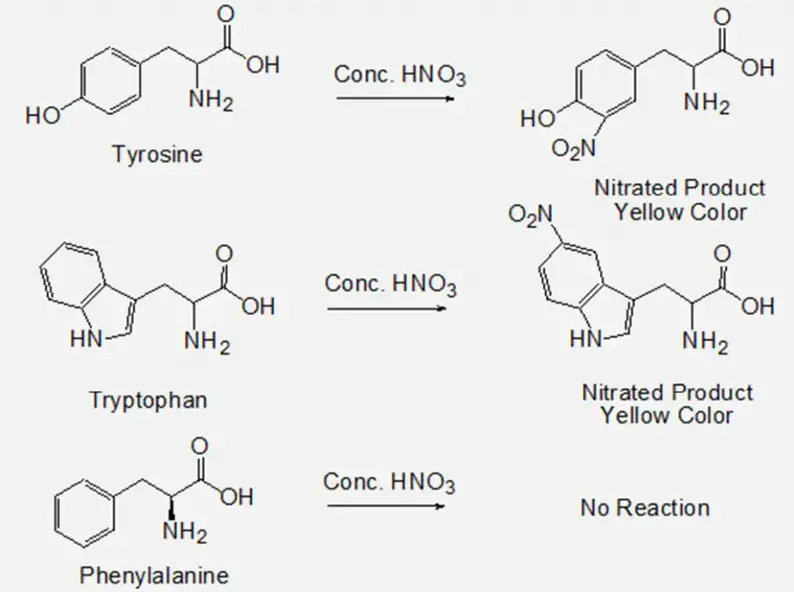 Solved Draw the step-by-step mechanism of the given amino | Chegg.com