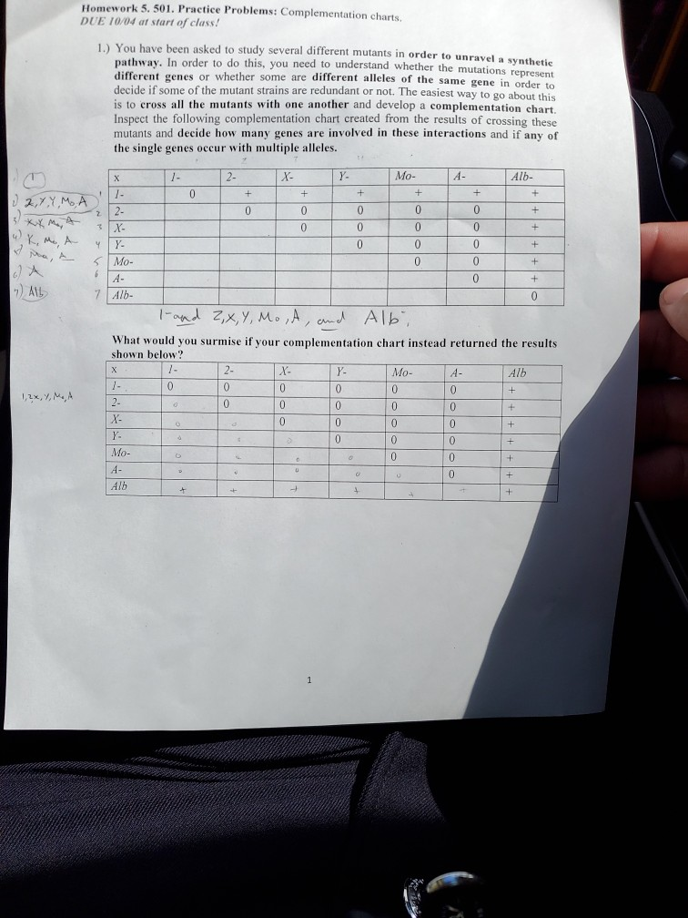 Solved Homework 5. 501. Practice Problems: Complementation | Chegg.com