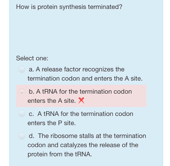 Solved How is protein synthesis terminated? Select one: a. | Chegg.com
