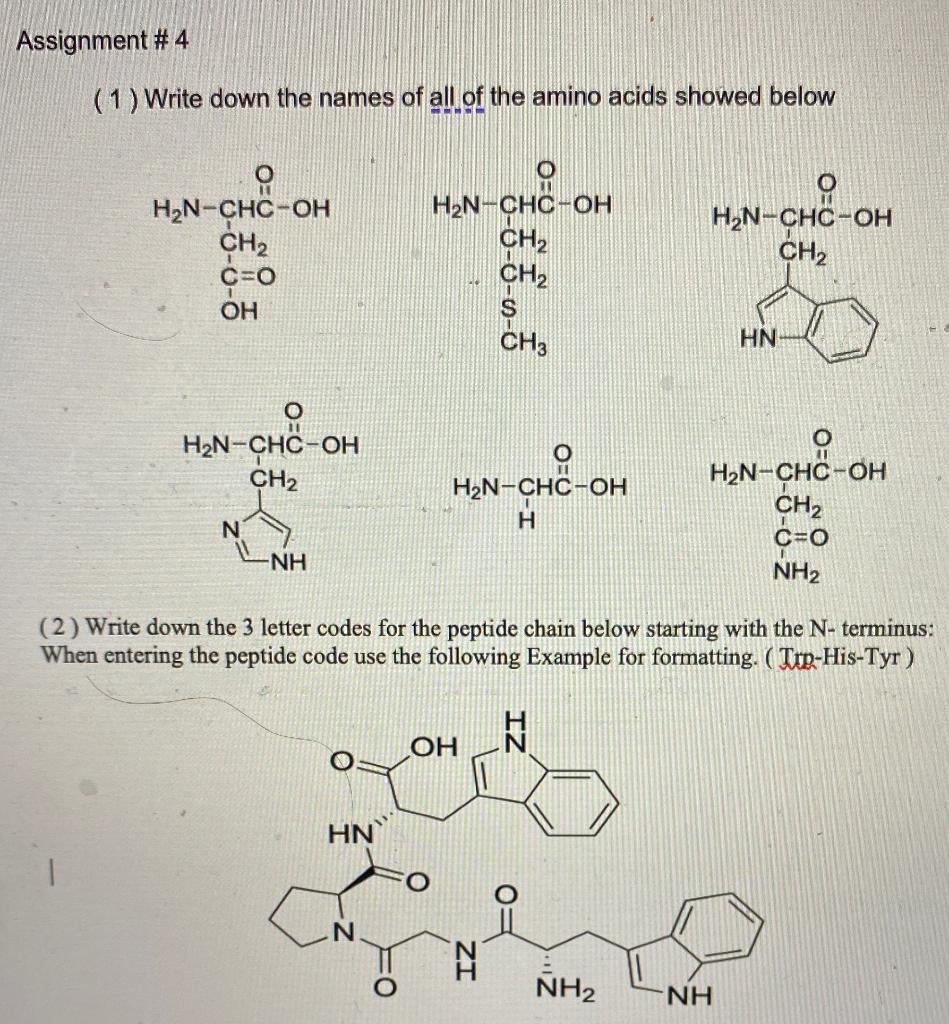 Solved (1) Write down the names of all of the amino acids | Chegg.com