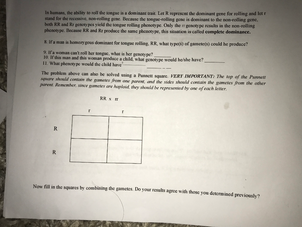 Solved In humans, the ability to roll the tongue is a | Chegg.com