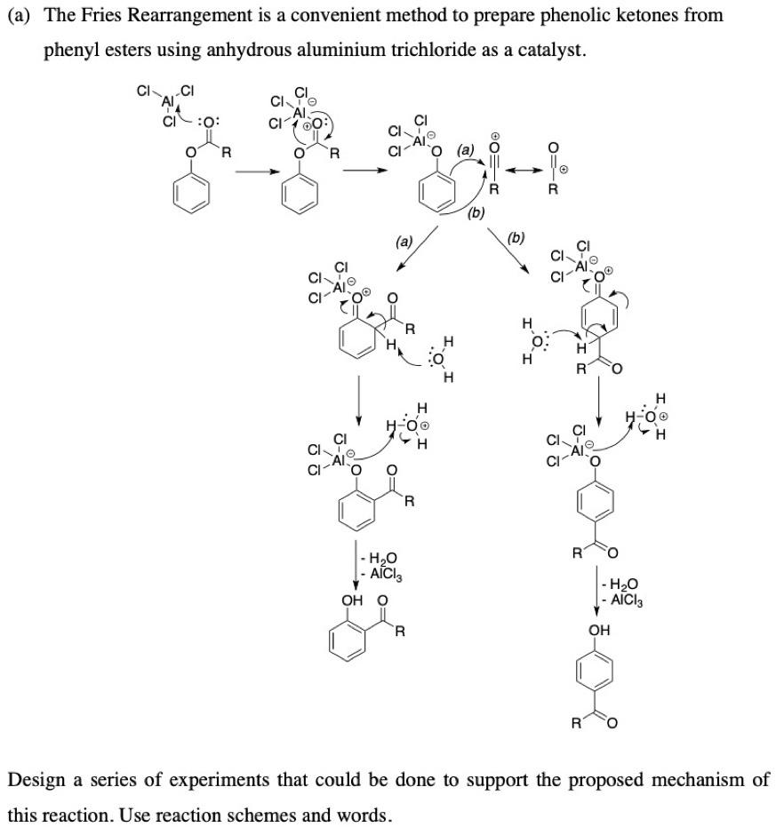 Solved (a) The Fries Rearrangement is a convenient method to | Chegg.com