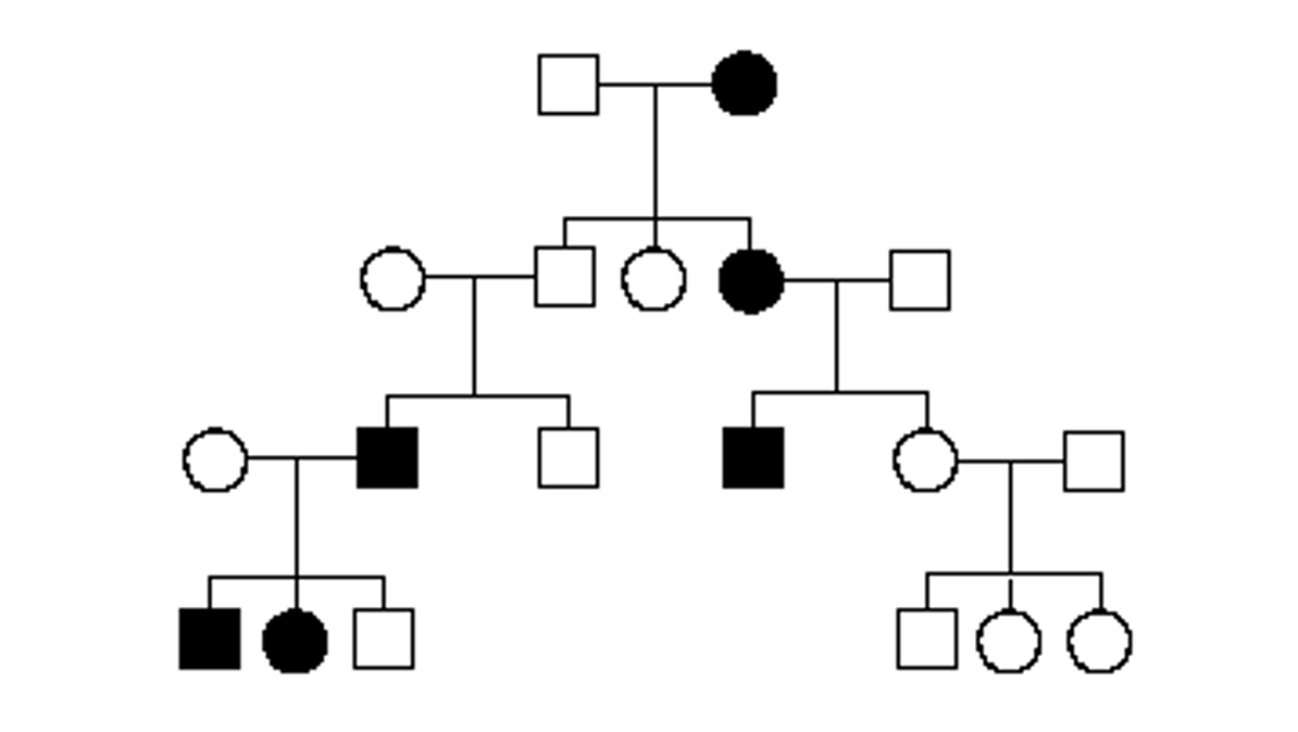 Solved What Inheritance Pattern Does This Pedigree Suggest 2290