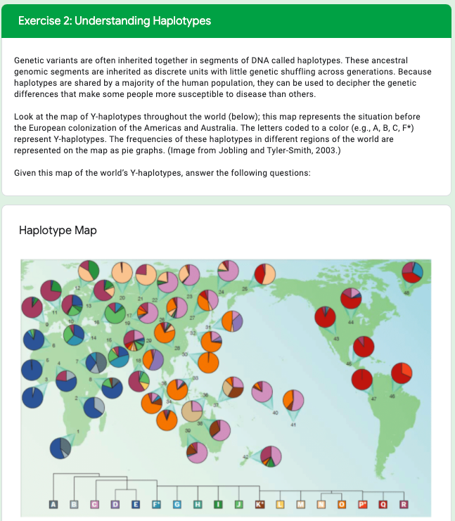 Solved Exercise 2: Understanding Haplotypes Genetic variants | Chegg.com