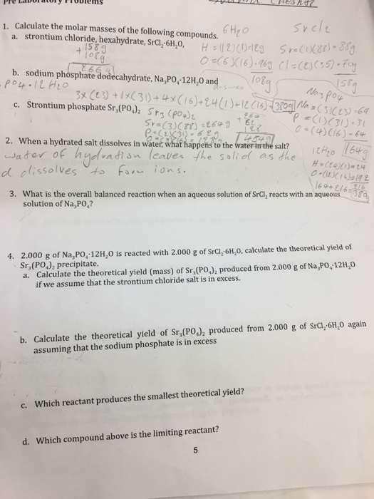 Solved Calculate the molar masses of the following | Chegg.com