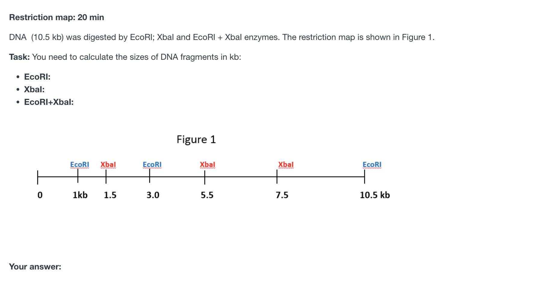 Solved Restriction map: 20 min DNA (10.5 kb) was digested by | Chegg.com