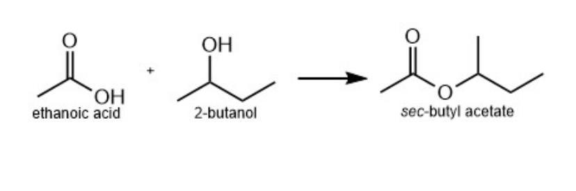 Solved Draw the mechanism of this reaction and include all | Chegg.com