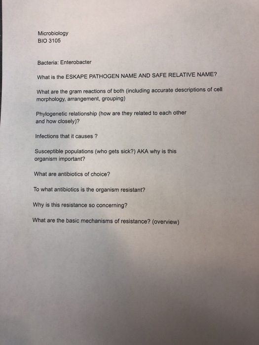 Solved Microbiology BIO 3105 Bacteria: Enterobacter What is | Chegg.com