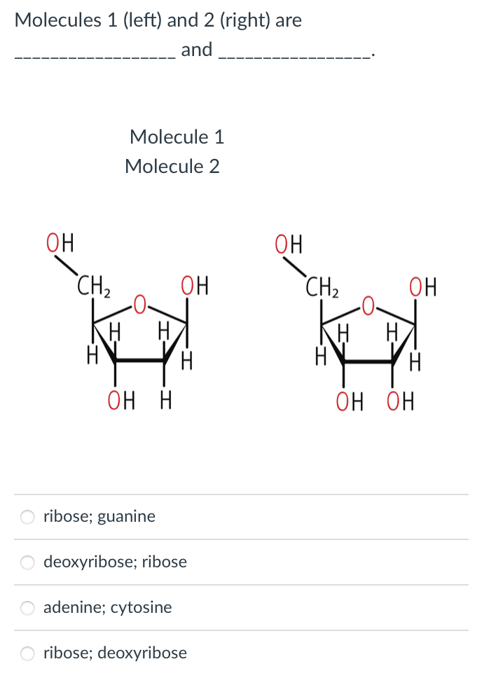 Solved Molecules 1 (left) and 2 (right) are and Molecule 1 | Chegg.com