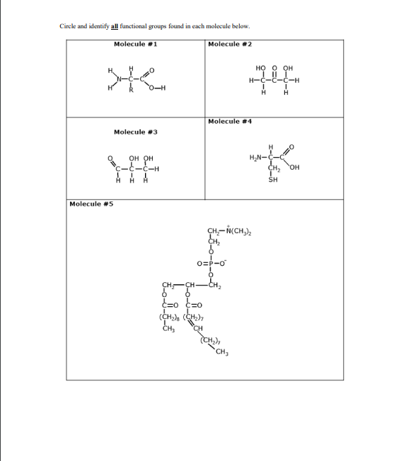 Solved Circle and identify all functional groups found in | Chegg.com