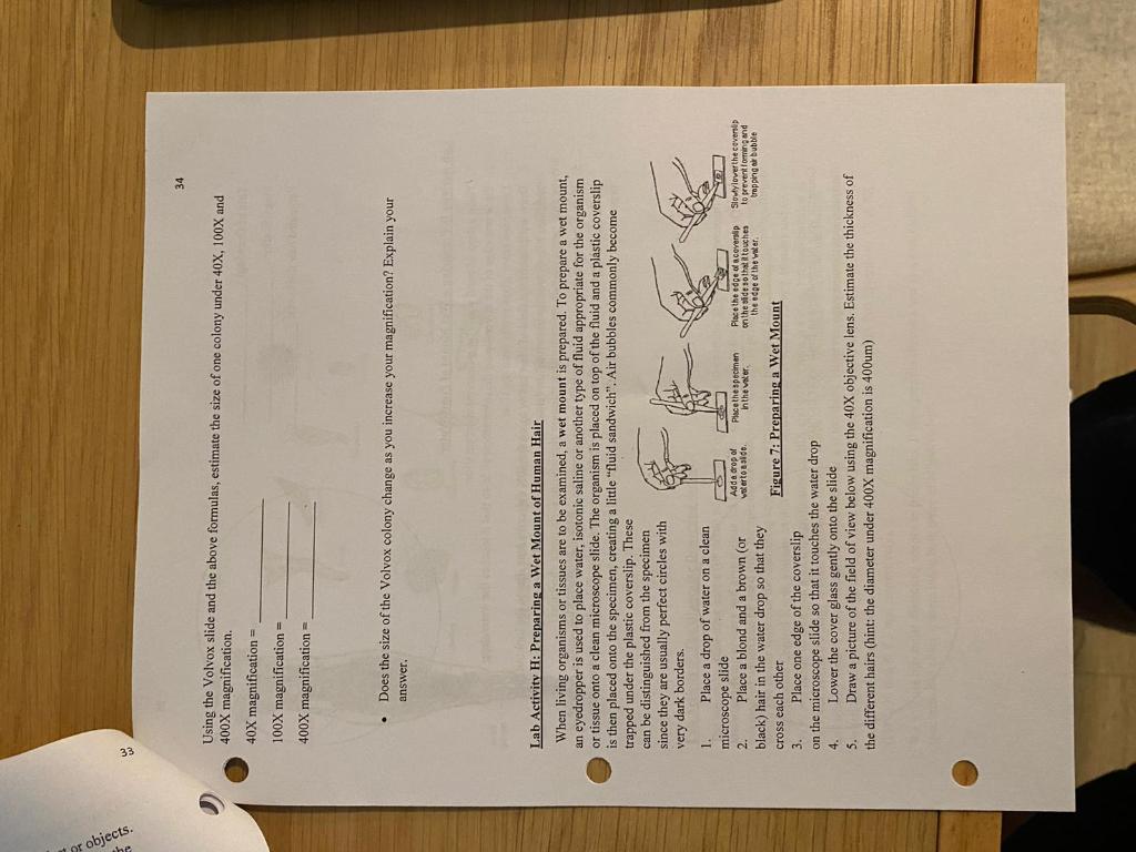 Lab Activity G: Estimating the Size of an Object When | Chegg.com