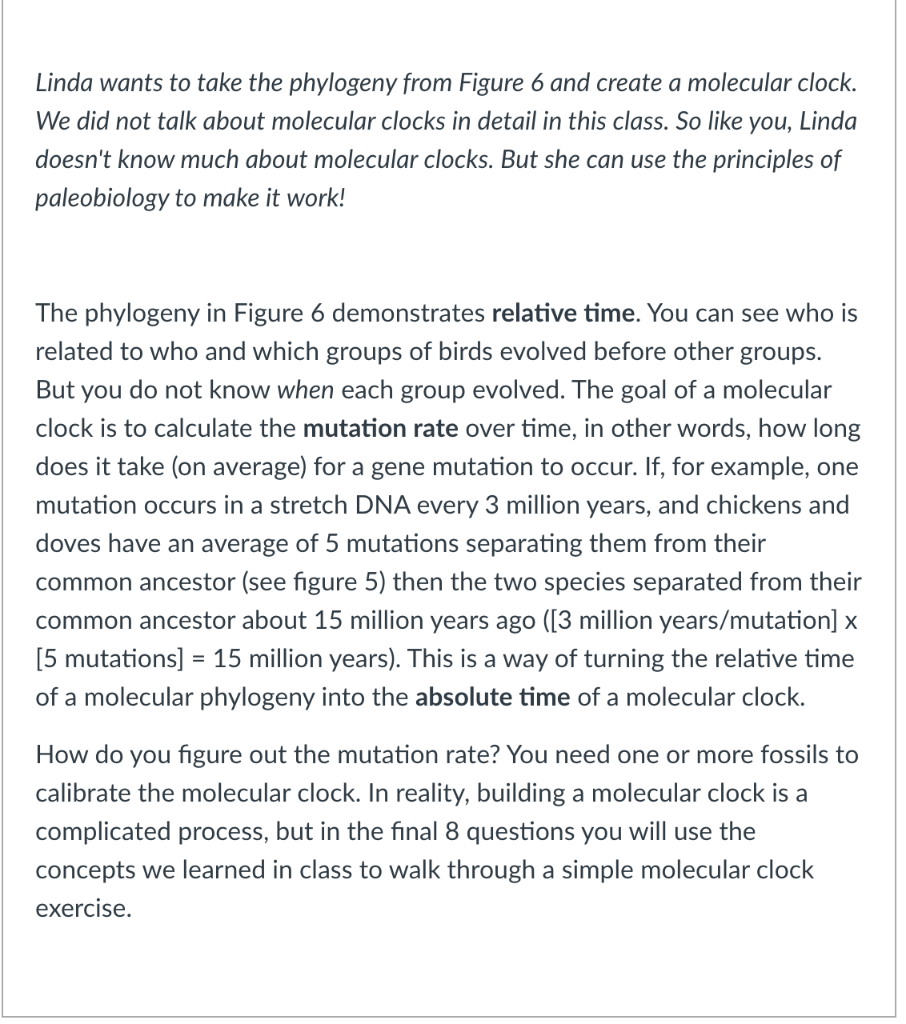 Solved Question 34 1 pts Many fossils of Mopsitta are | Chegg.com