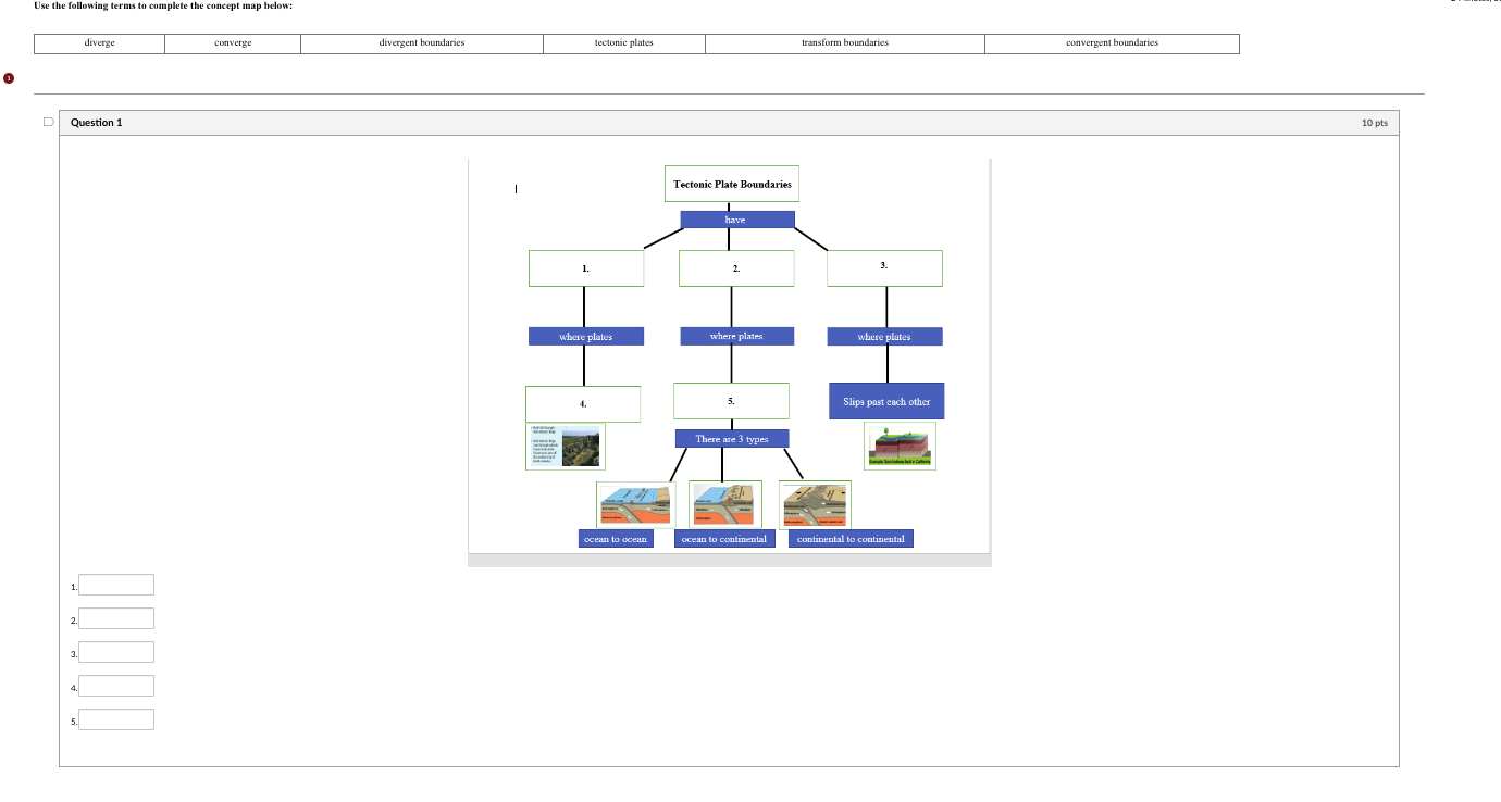 Solved Use the following terms to complete the concept map | Chegg.com