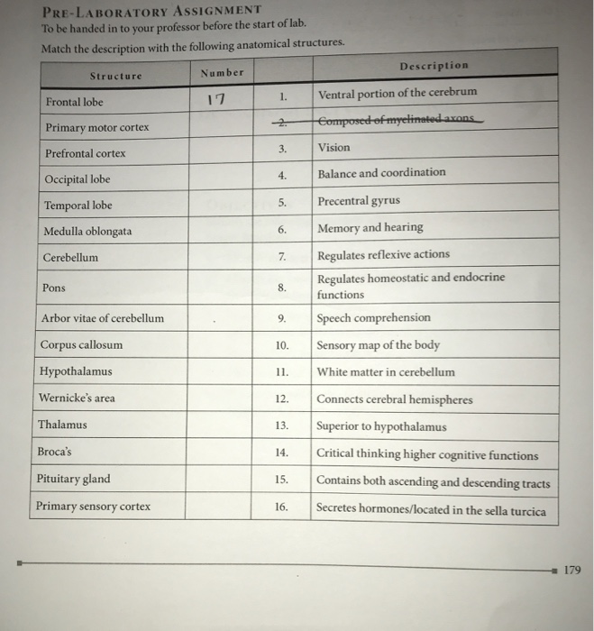 Solved PRE-LABORATORY ASSIGNMENT To be handed in to your | Chegg.com