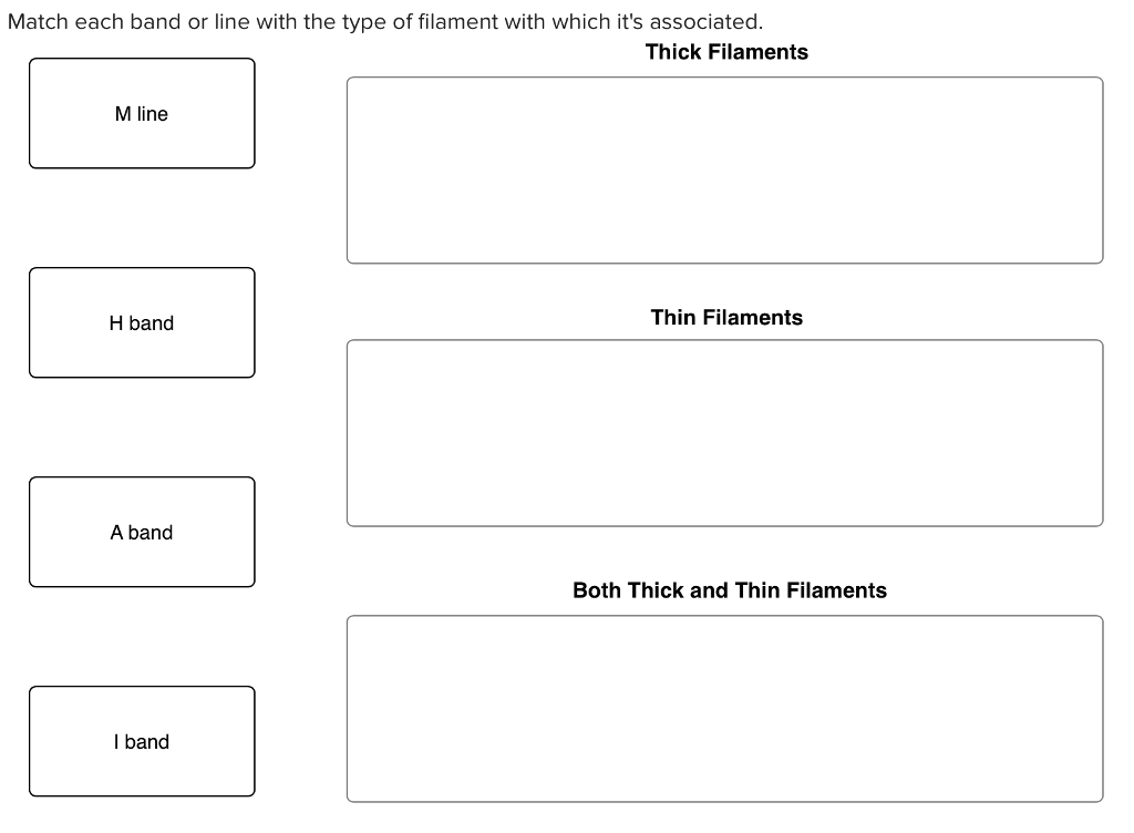 Solved Match each band or line with the type of filament | Chegg.com