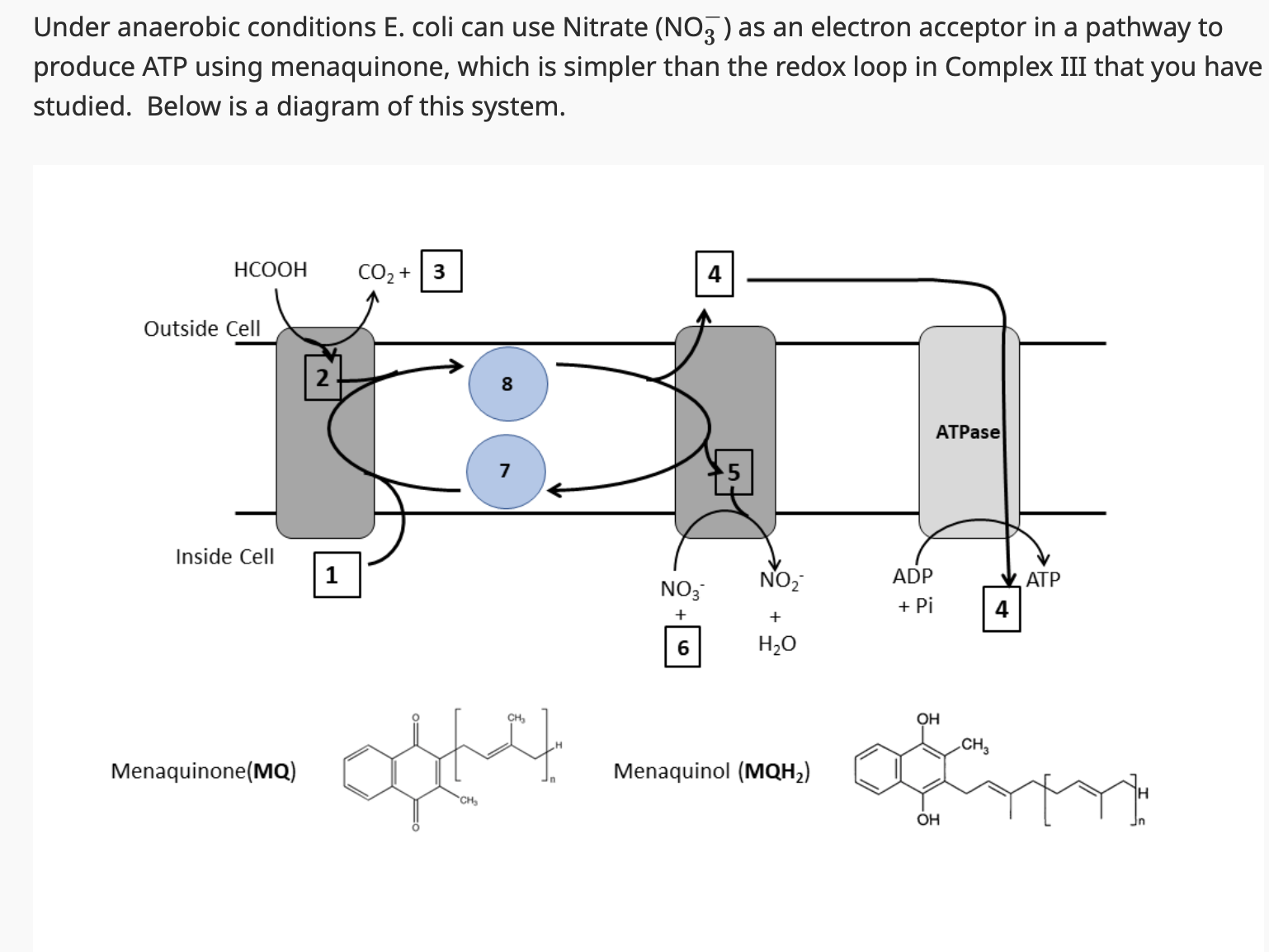 Solved Use the multiple choice questions to identify what | Chegg.com