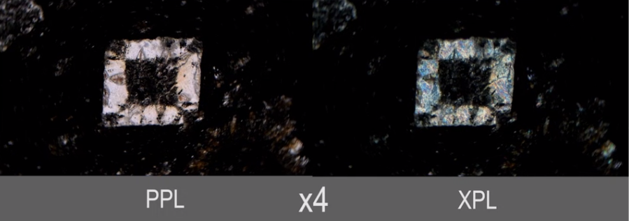 Solved PPL x4 XPL PPL x4 XPL Mineral variety textural | Chegg.com