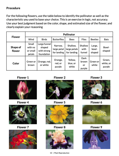Solved Procedure For the following flowers, use the table | Chegg.com