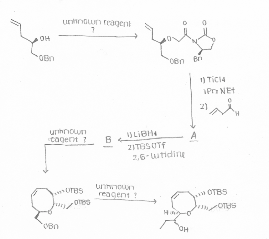Solved Please identify the missing structures A and B, as | Chegg.com