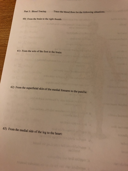 Solved Part 3: Blood Tracing.Trace the blood flow for the | Chegg.com